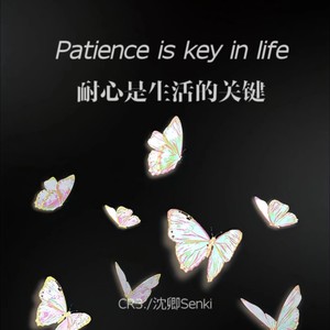 Patience is key in life (耐心是生活的关键) - 腾讯音乐娱乐-千万正版音乐海量无损曲库新歌热歌天天畅听的高品质音乐平台！